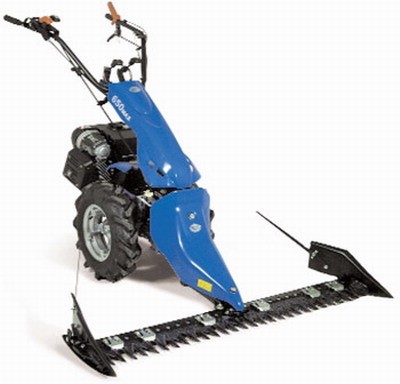 BCS 650
